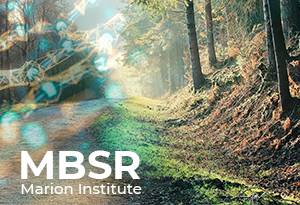 Mindfulness-Based Stress Reduction Course - Marion Institute