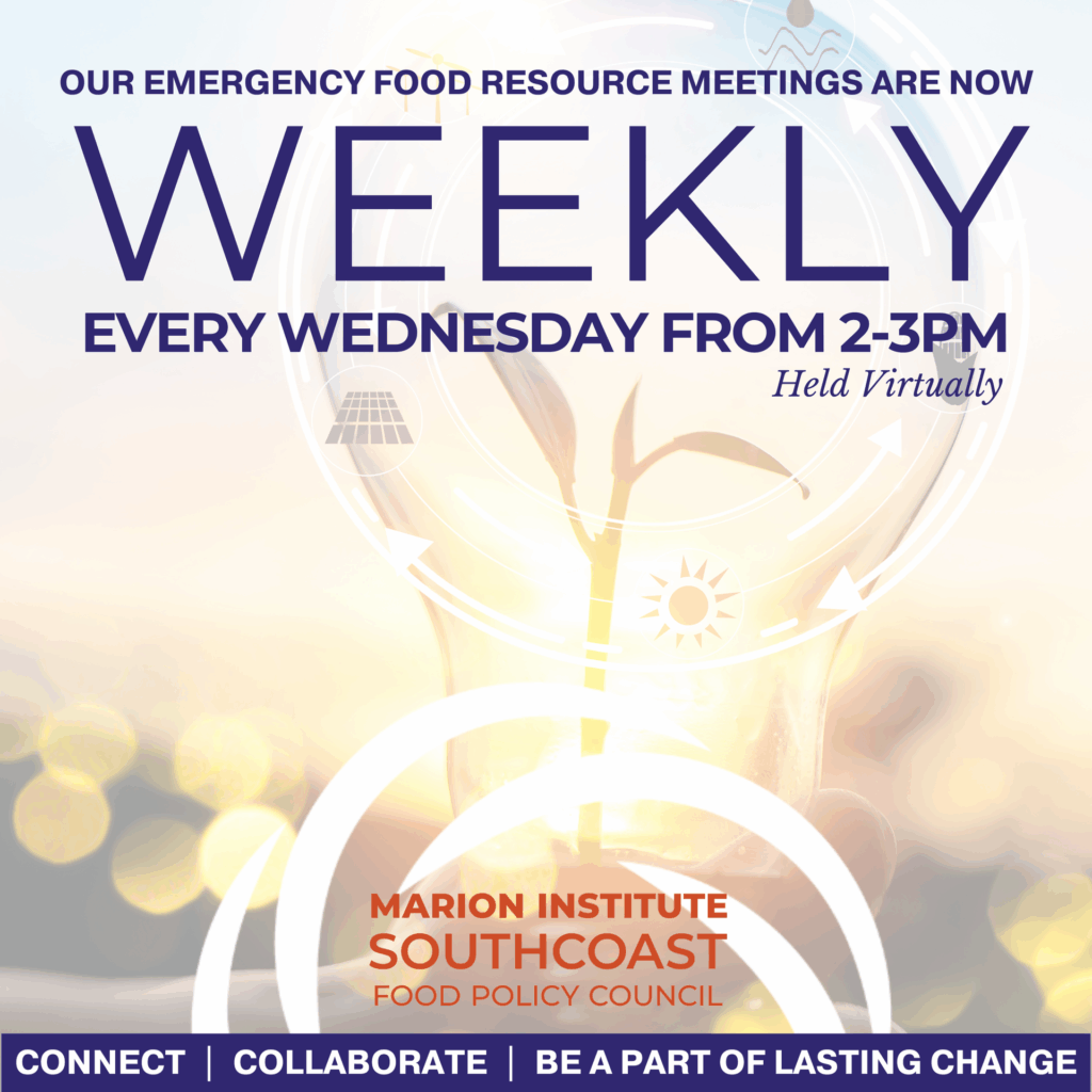 November 2025 MI Newsletter - Marion Institute